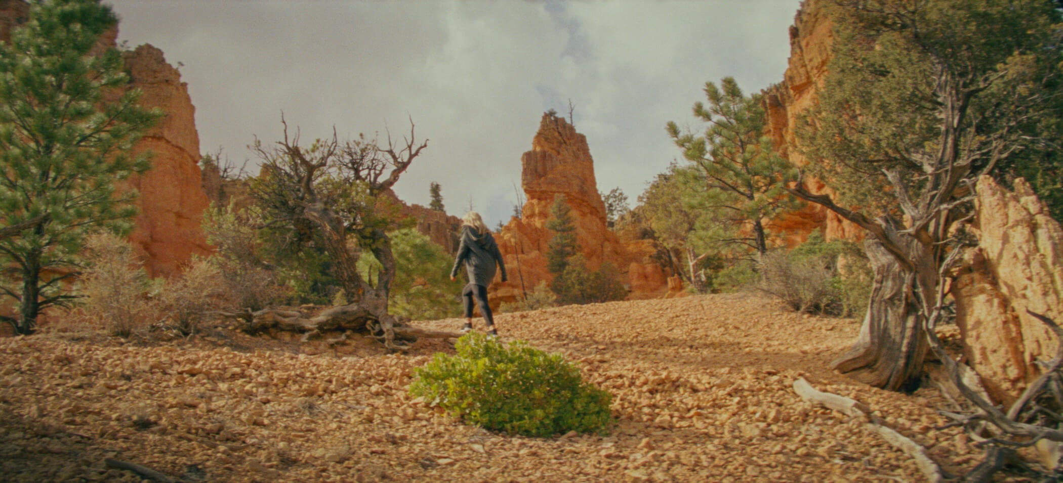 Nutrient Field Guide: Minerals & Mineral Supplements – Solaray UK